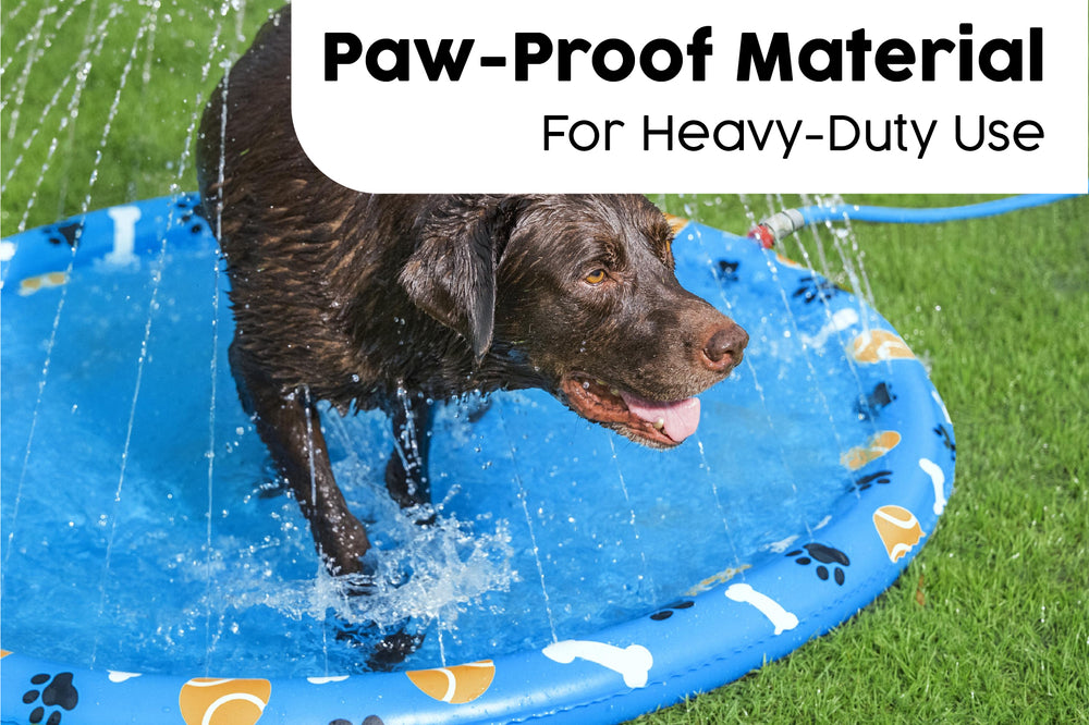 Inflatable Dog Splash Pad | Splash Pads | Bestway Store UK | Bestway UK